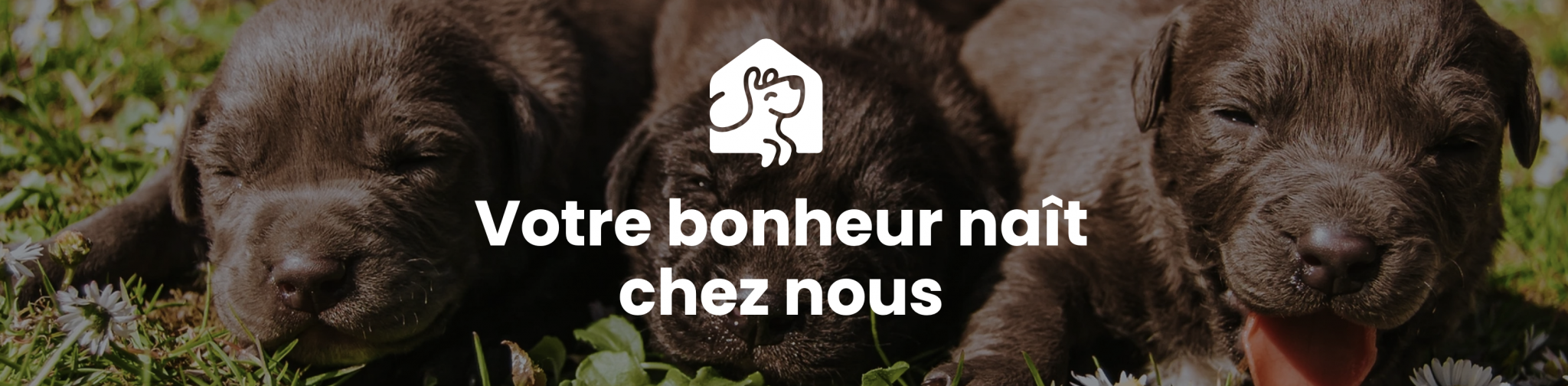 Accueil - Kerlan Informatique